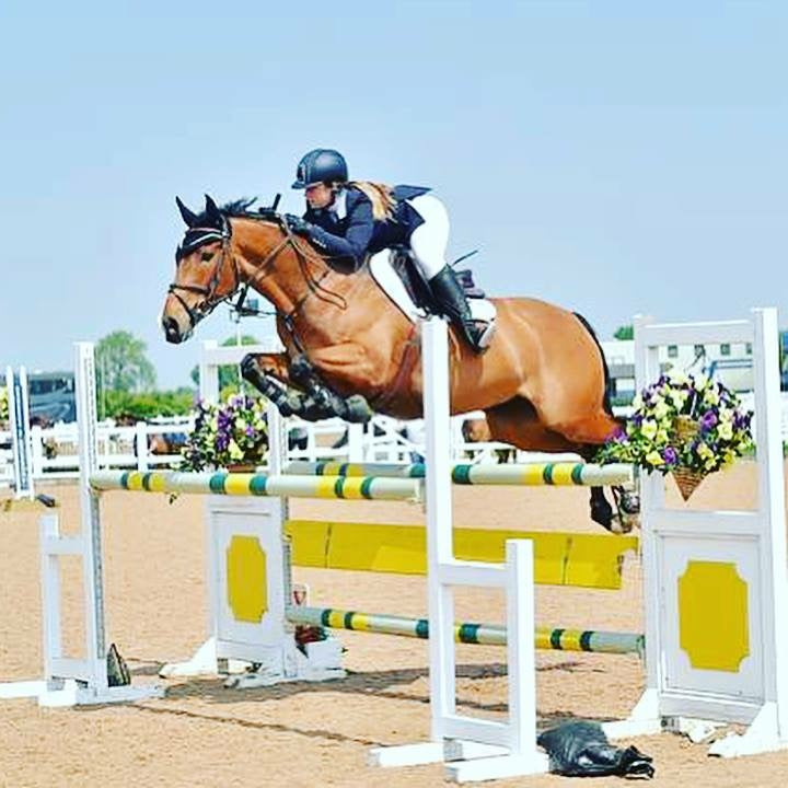 Our Products – CC Equestrian