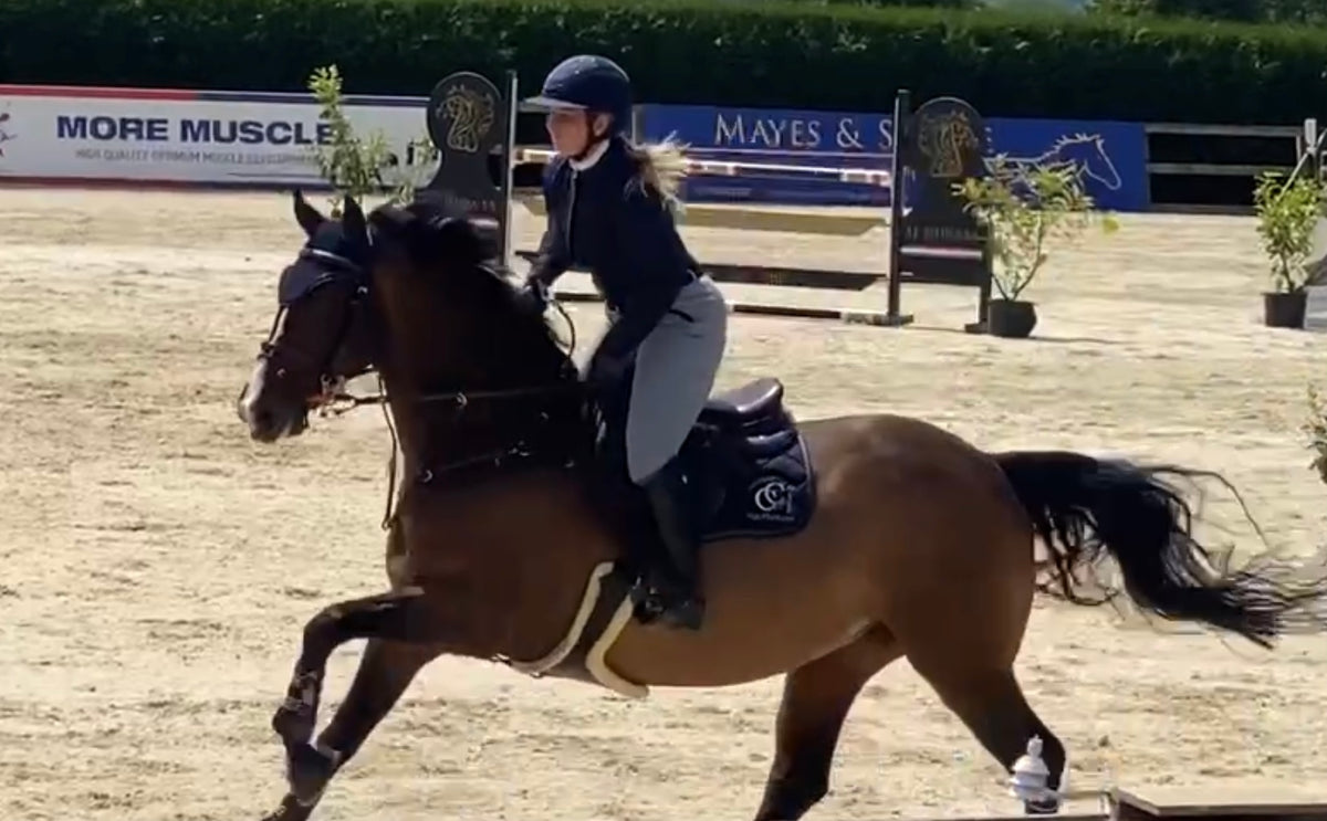 Horse Products & Accessories – CC Equestrian