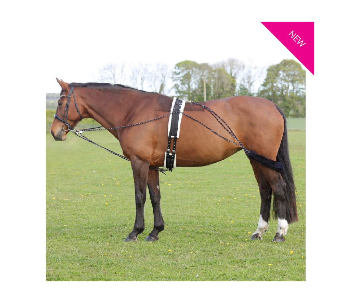 HY Lunging System – CC Equestrian