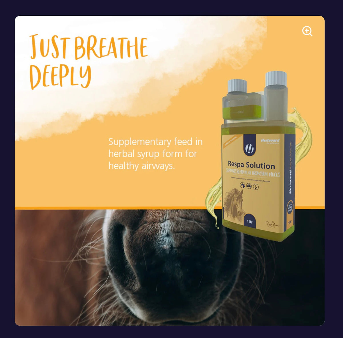 Hestevard Respa Solution - Respiratory Support – CC Equestrian