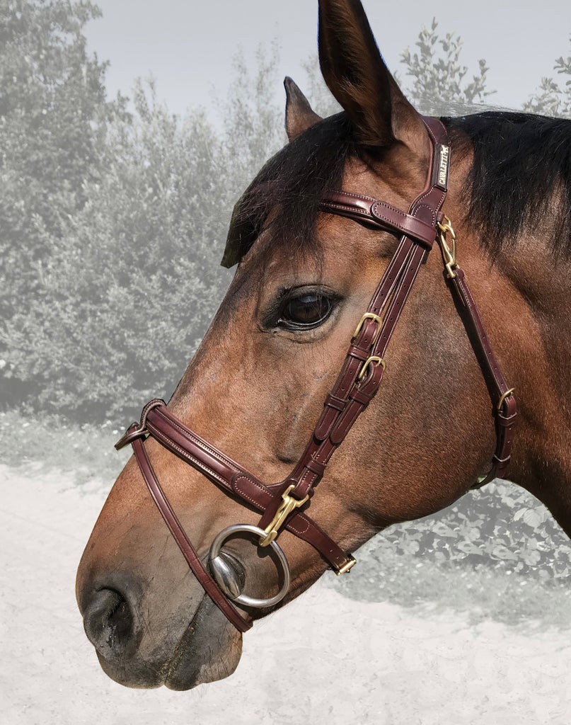 Cavaletti Work Bridle / Easy Bridle/ Clip Bridle – CC Equestrian